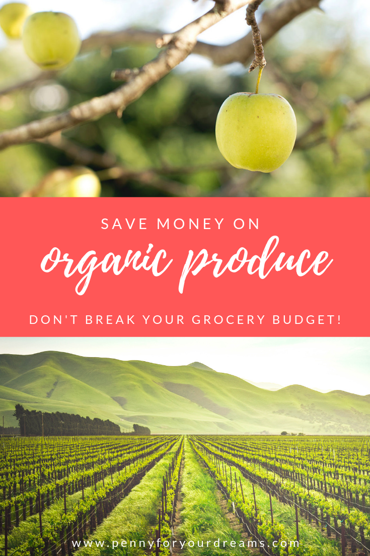 Save Money on Organic Produce | Delightful Discovery Co.